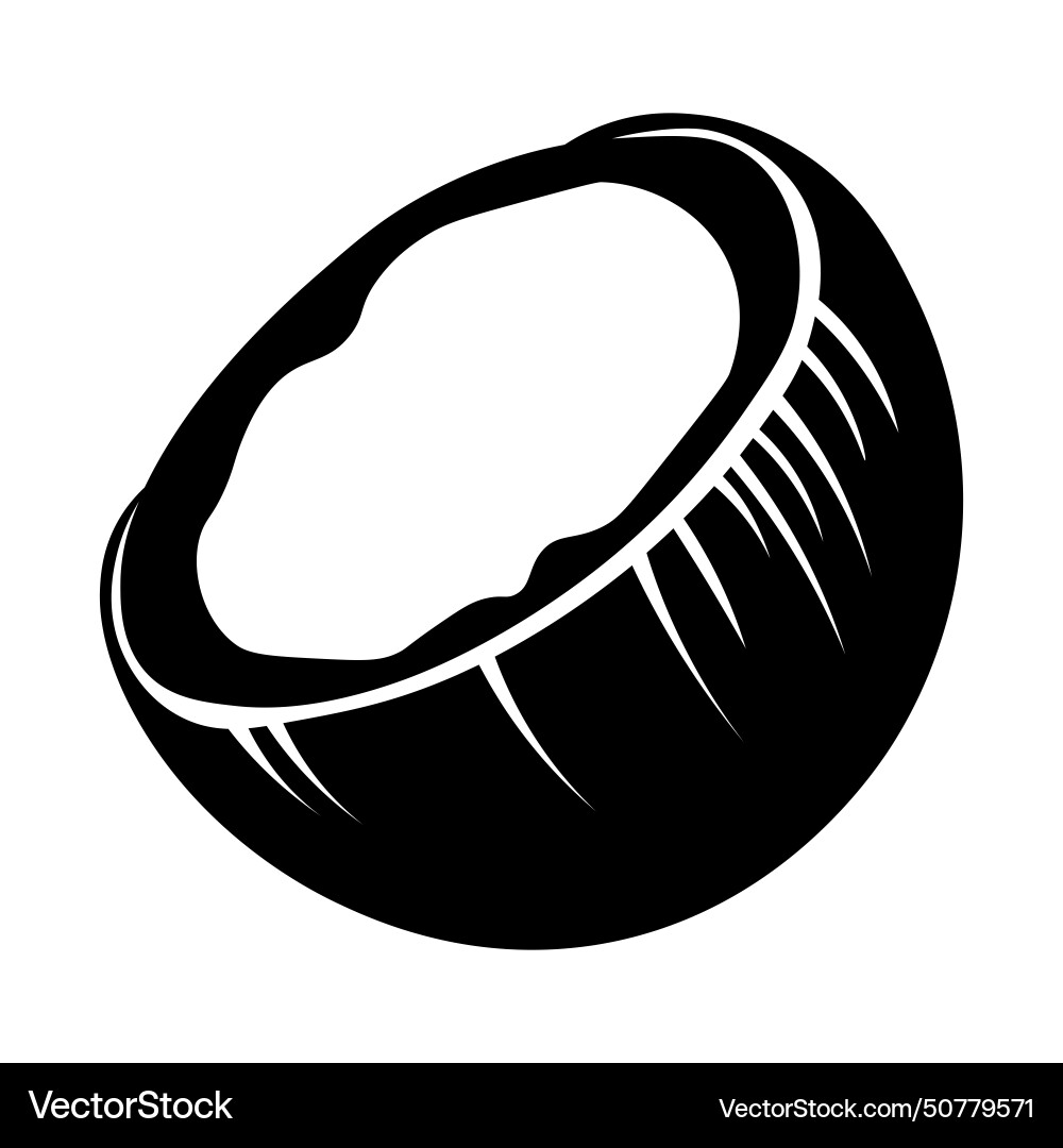 Black coconut icon on white background Royalty Free Vector
