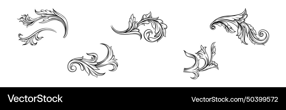 Baroque scroll as element of ornament and graphic Vector Image