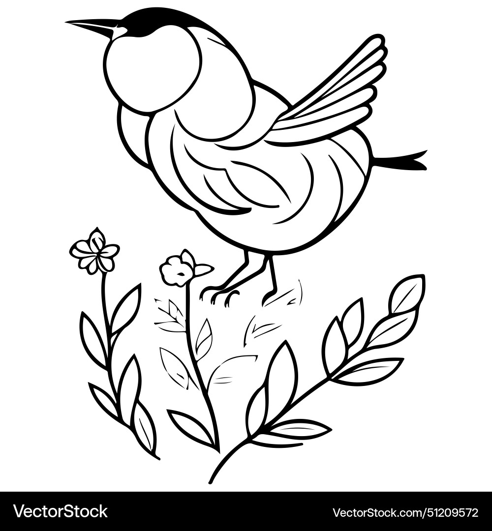 Bird flower sketch hand draw Royalty Free Vector Image