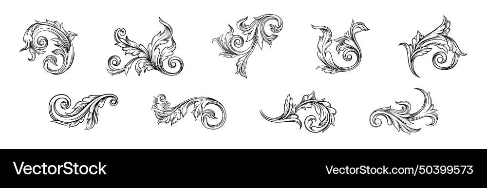 Baroque scroll as element of ornament and graphic Vector Image