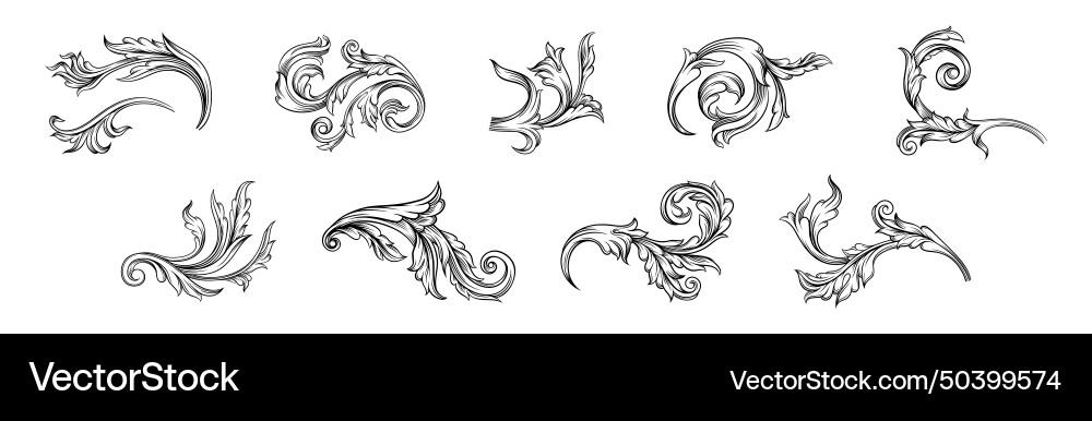 Baroque scroll as element of ornament and graphic Vector Image