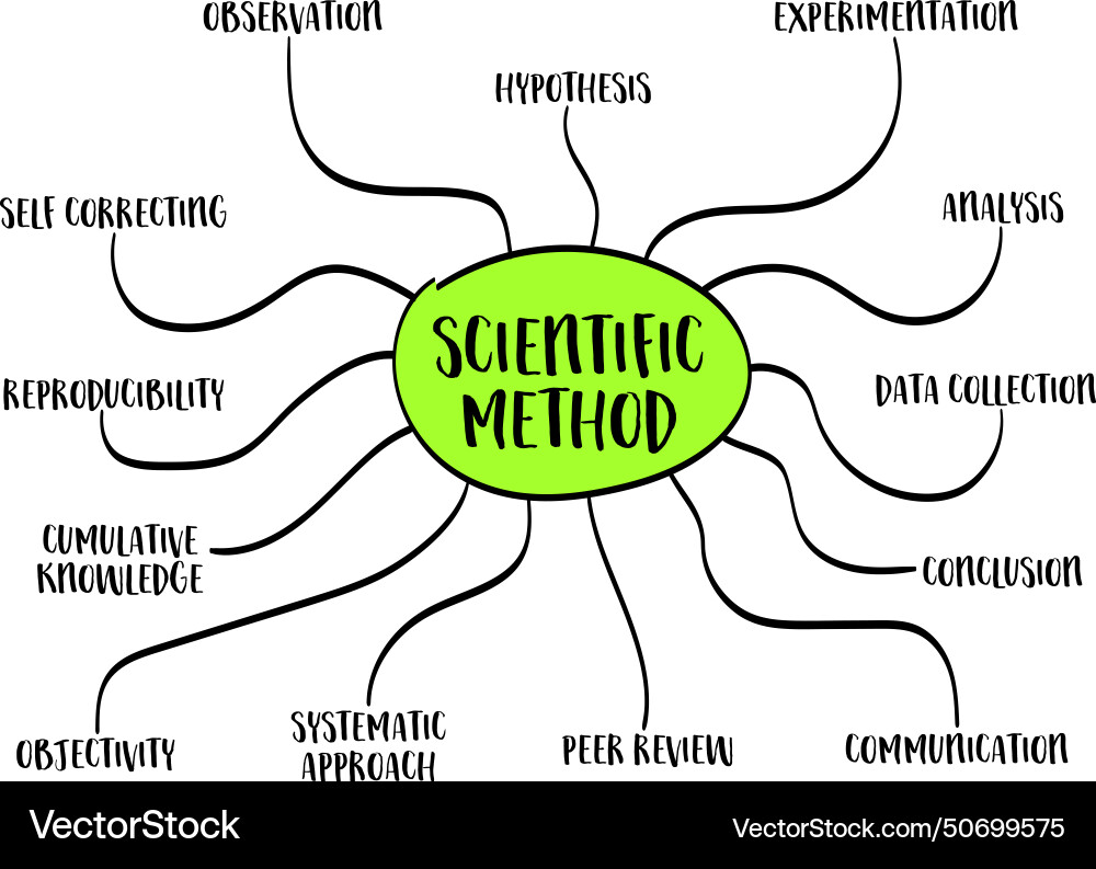 Scientific method infographics or mind map sketch Vector Image