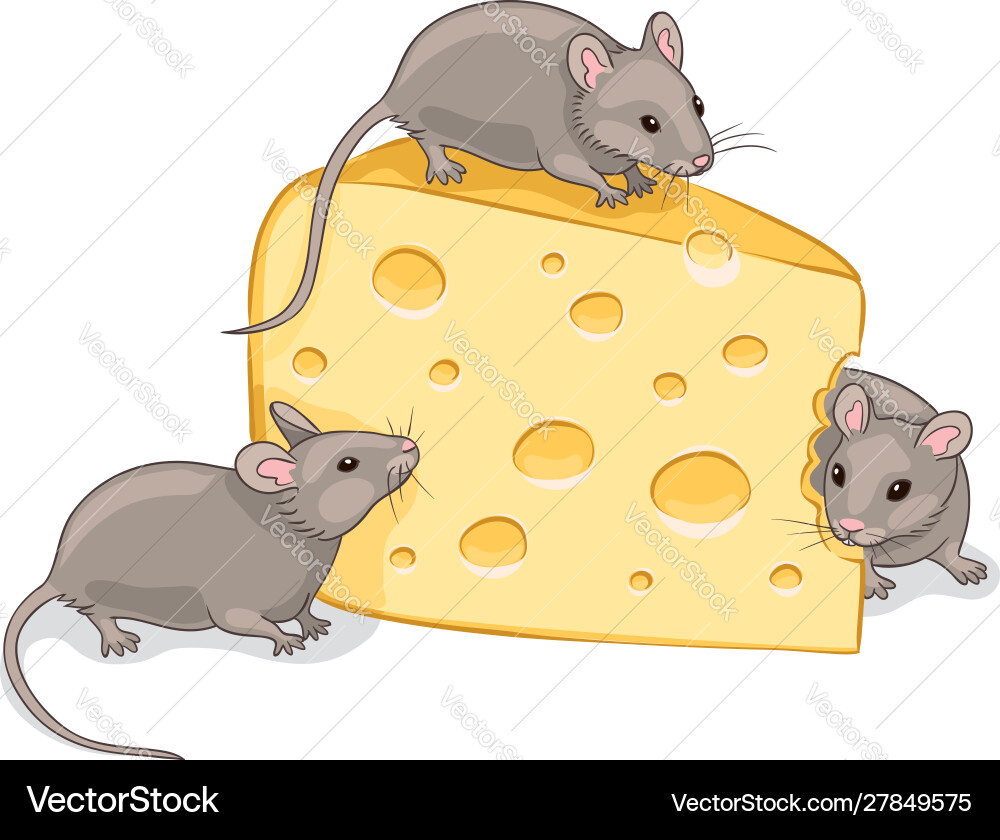 Three grey mice with a piece cheese Royalty Free Vector