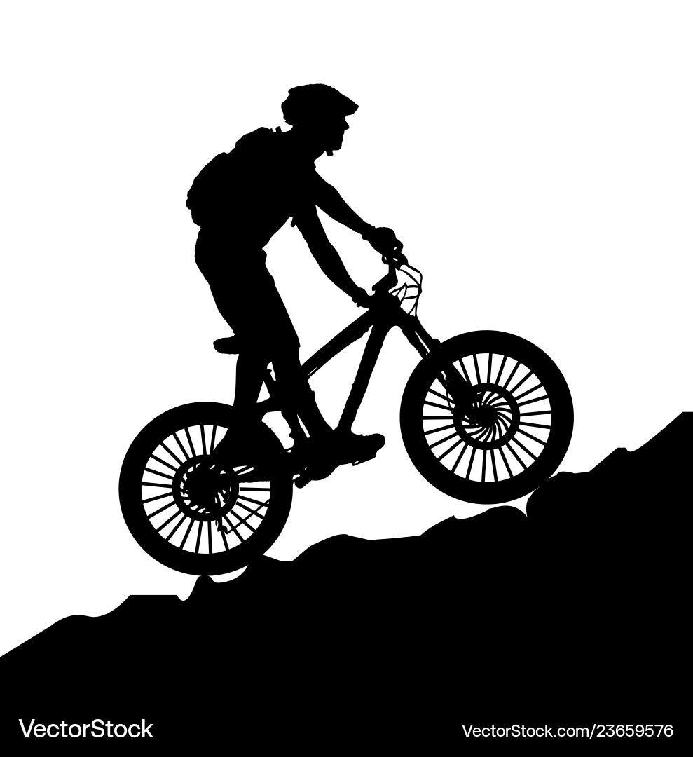 A bicycle riding bike Royalty Free Vector Image