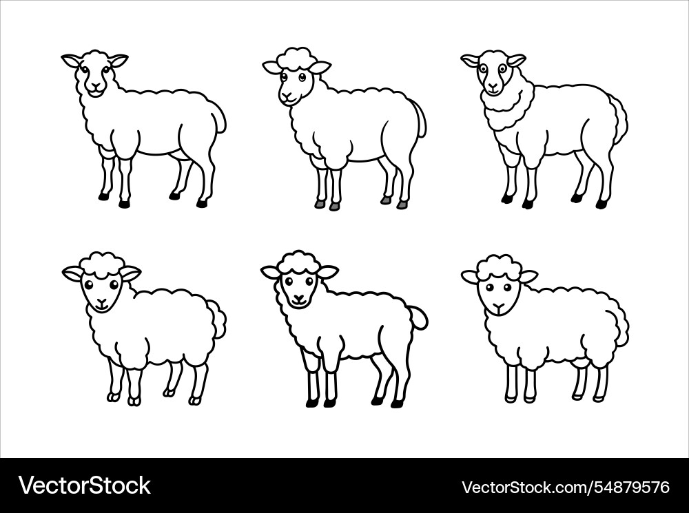 Cute black and white sheep for color Royalty Free Vector