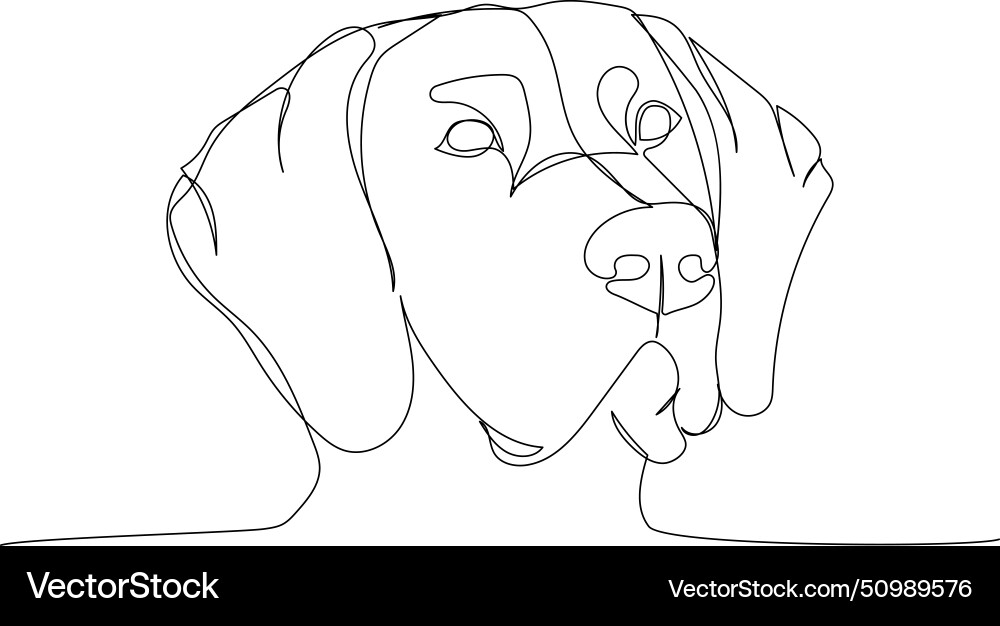 German shorthaired pointer hunting dog pointing Vector Image