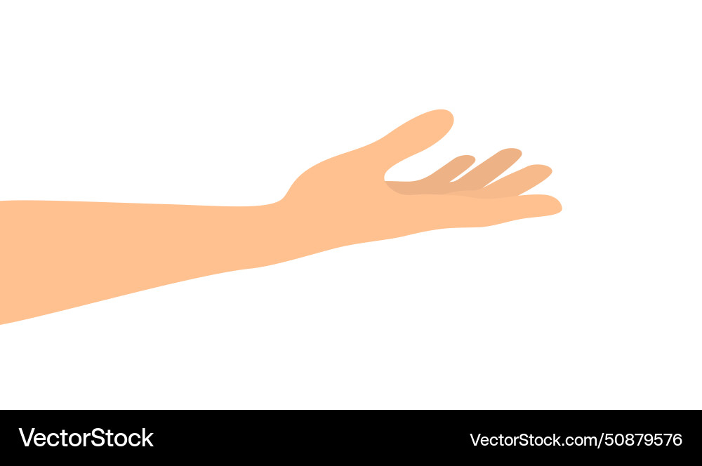 Hand with palm up isolated on white background Vector Image