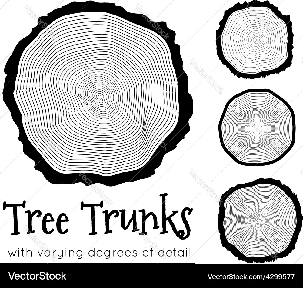 Cross section of the trunk Royalty Free Vector Image