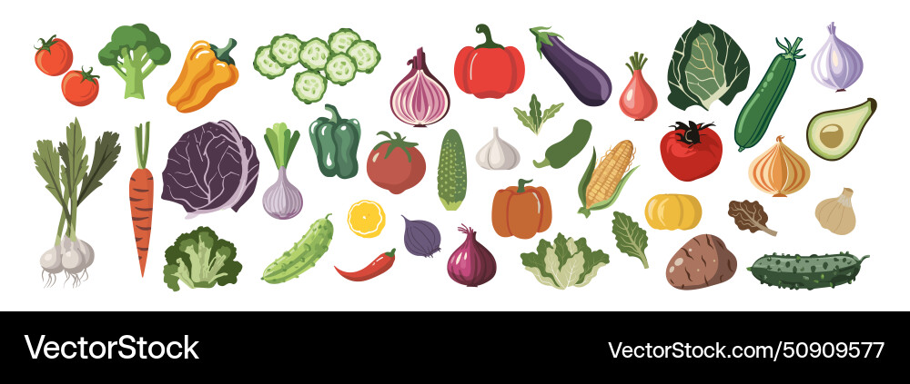 Set of different vegetables icons isolated Vector Image