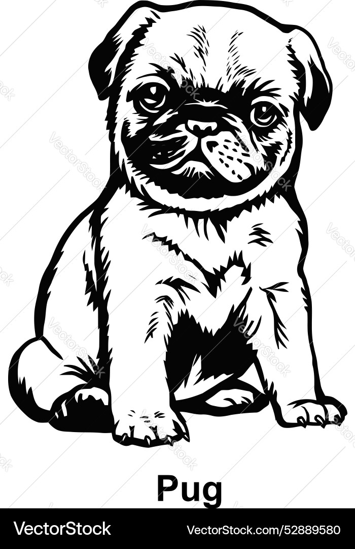 Puppy pug - dog breed file Royalty Free Vector Image