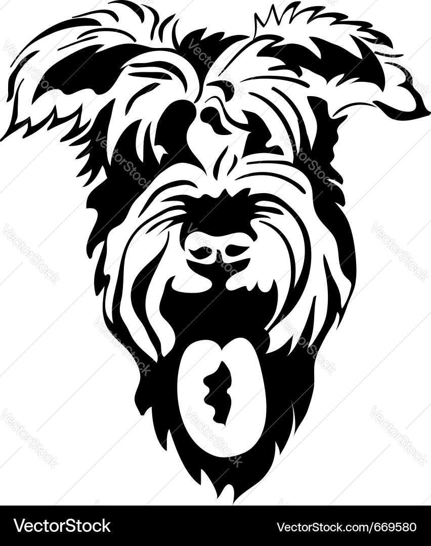 Schnauzer Royalty Free Vector Image - VectorStock