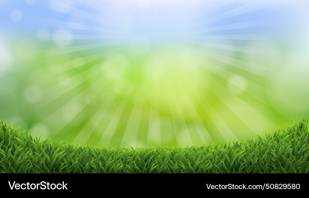 Spring border and grass with flowers Royalty Free Vector