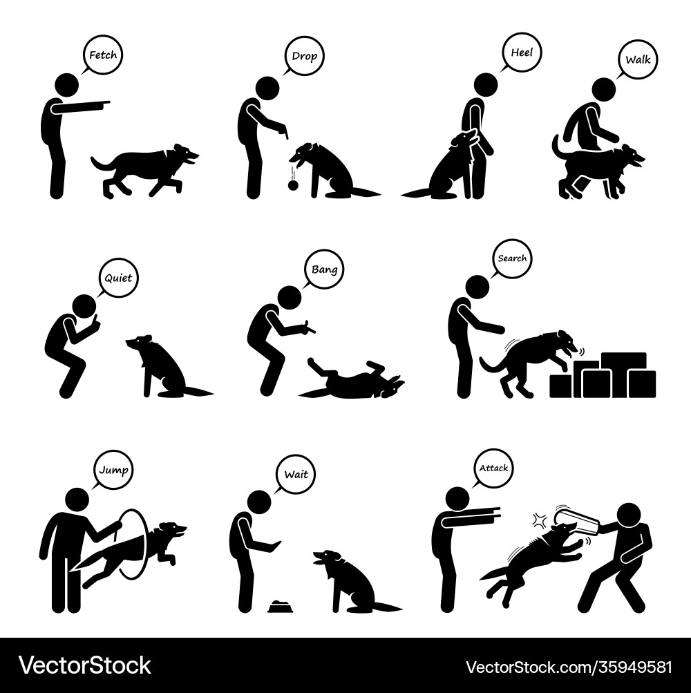 Advanced dog commands and behavioral training Vector Image