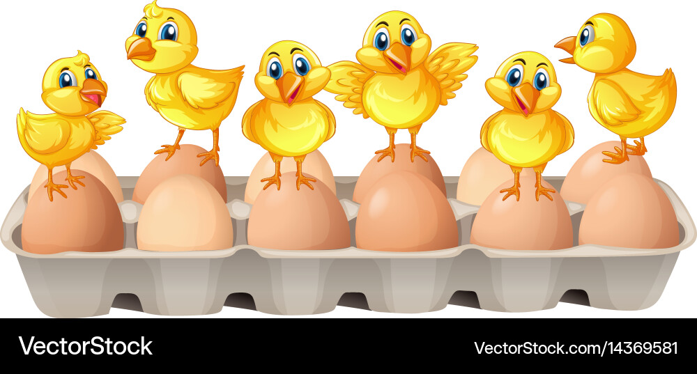 Six chicks standing on eggs Royalty Free Vector Image