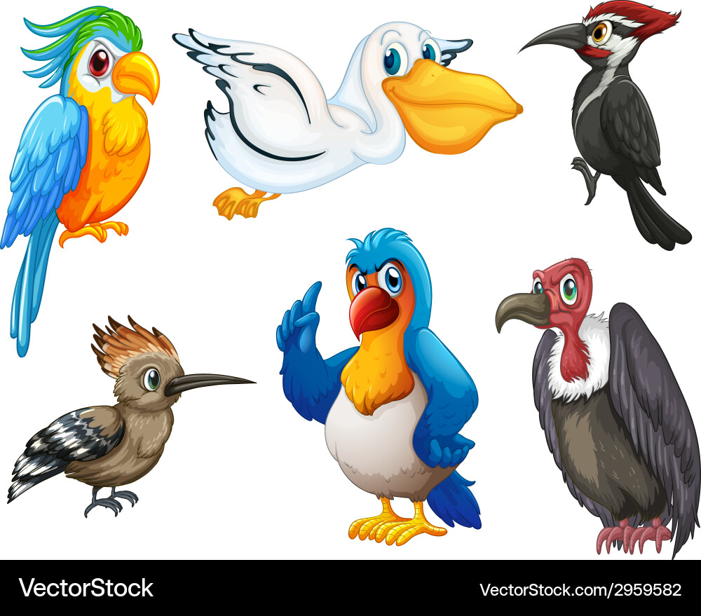 Birds Royalty Free Vector Image - VectorStock