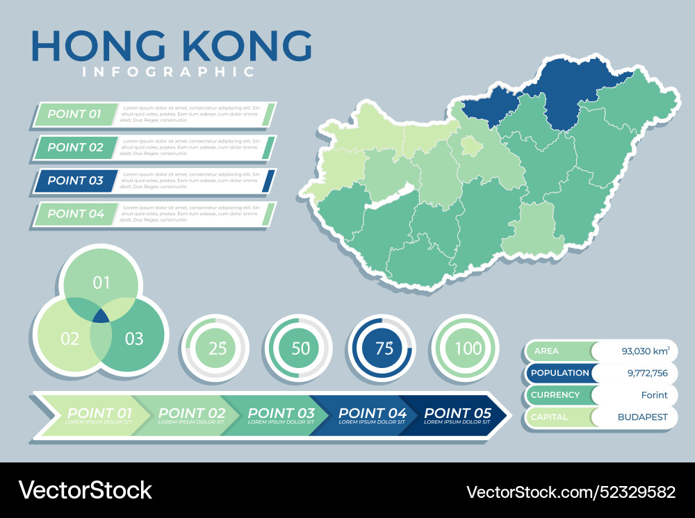 Flat hungary map statistics infographics Vector Image