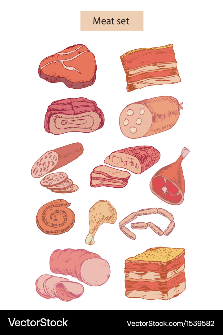 Meat set detailed Royalty Free Vector Image - VectorStock