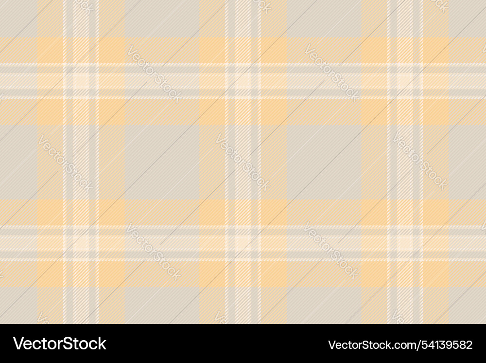 Square plaid texture layer pattern check tartan Vector Image