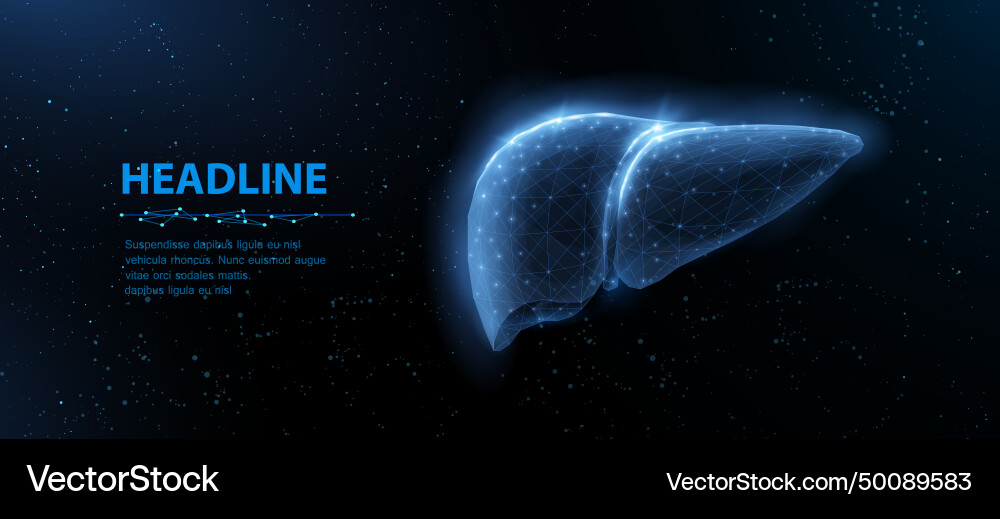 Liver abstract 3d Royalty Free Vector Image - VectorStock