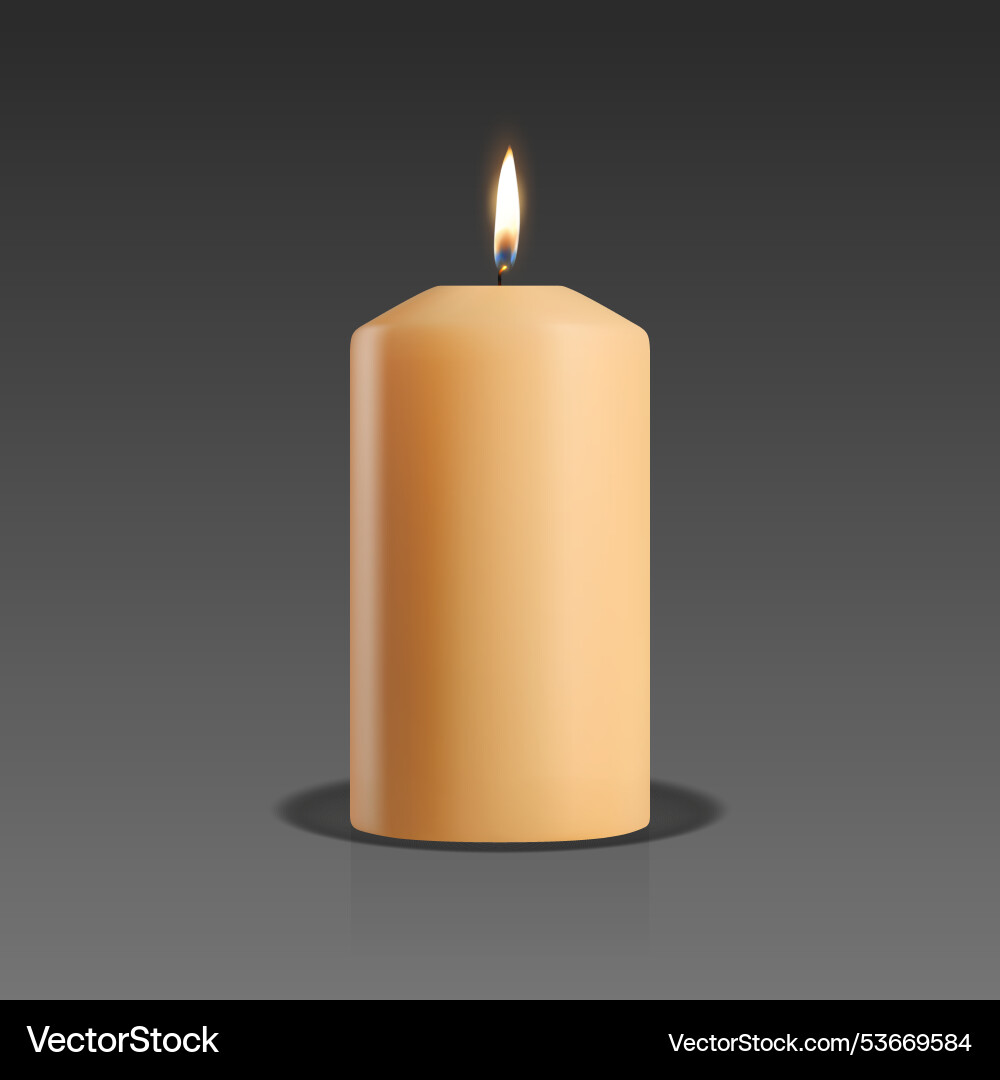 3d realistic paraffin wax burning party spa Vector Image