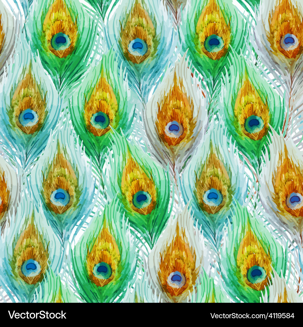 Peacock feather Royalty Free Vector Image - VectorStock