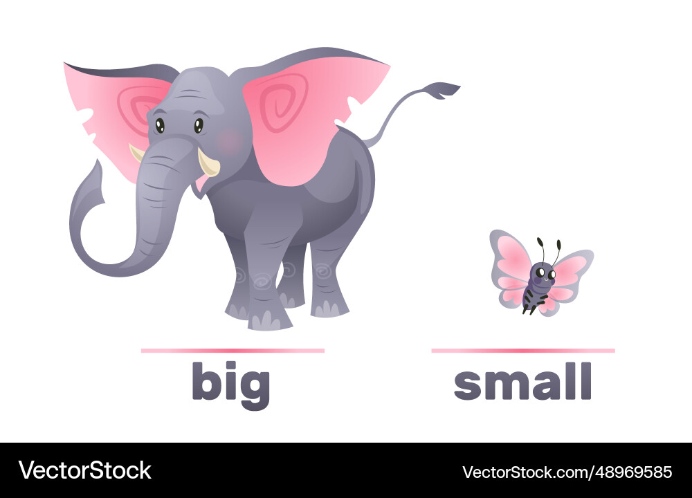 Antonyms and opposites big small elephant Vector Image