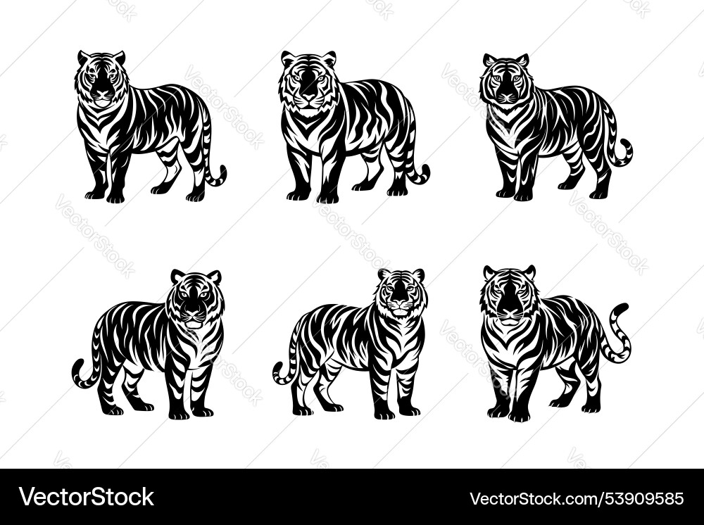 Big cats collection iconic cheetah and tiger Vector Image