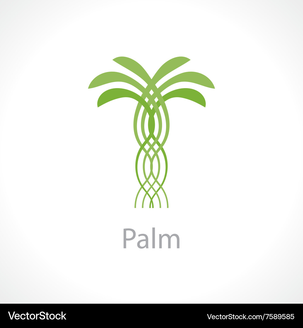 Palm tree Royalty Free Vector Image - VectorStock