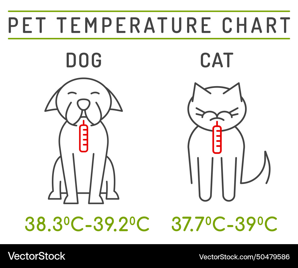 Normal temperature for a pet medical Royalty Free Vector