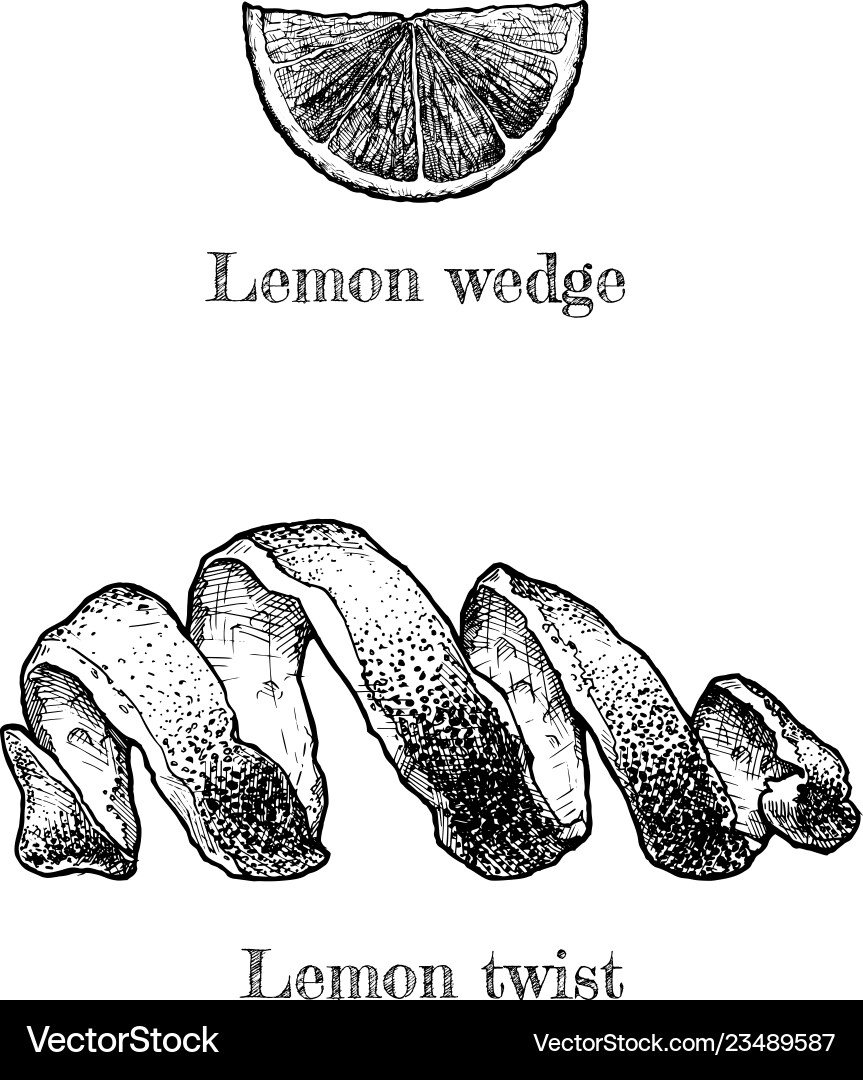 Lime Wedge Draw Vector Images (over 110)