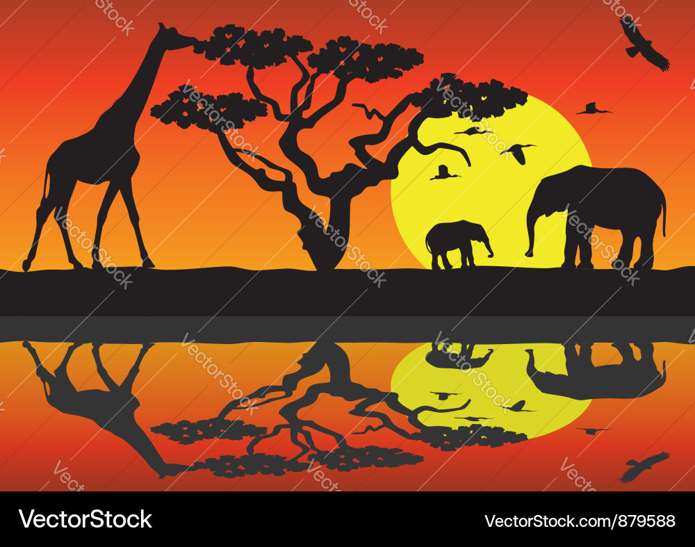 Giraffe and elephants in africa Royalty Free Vector Image