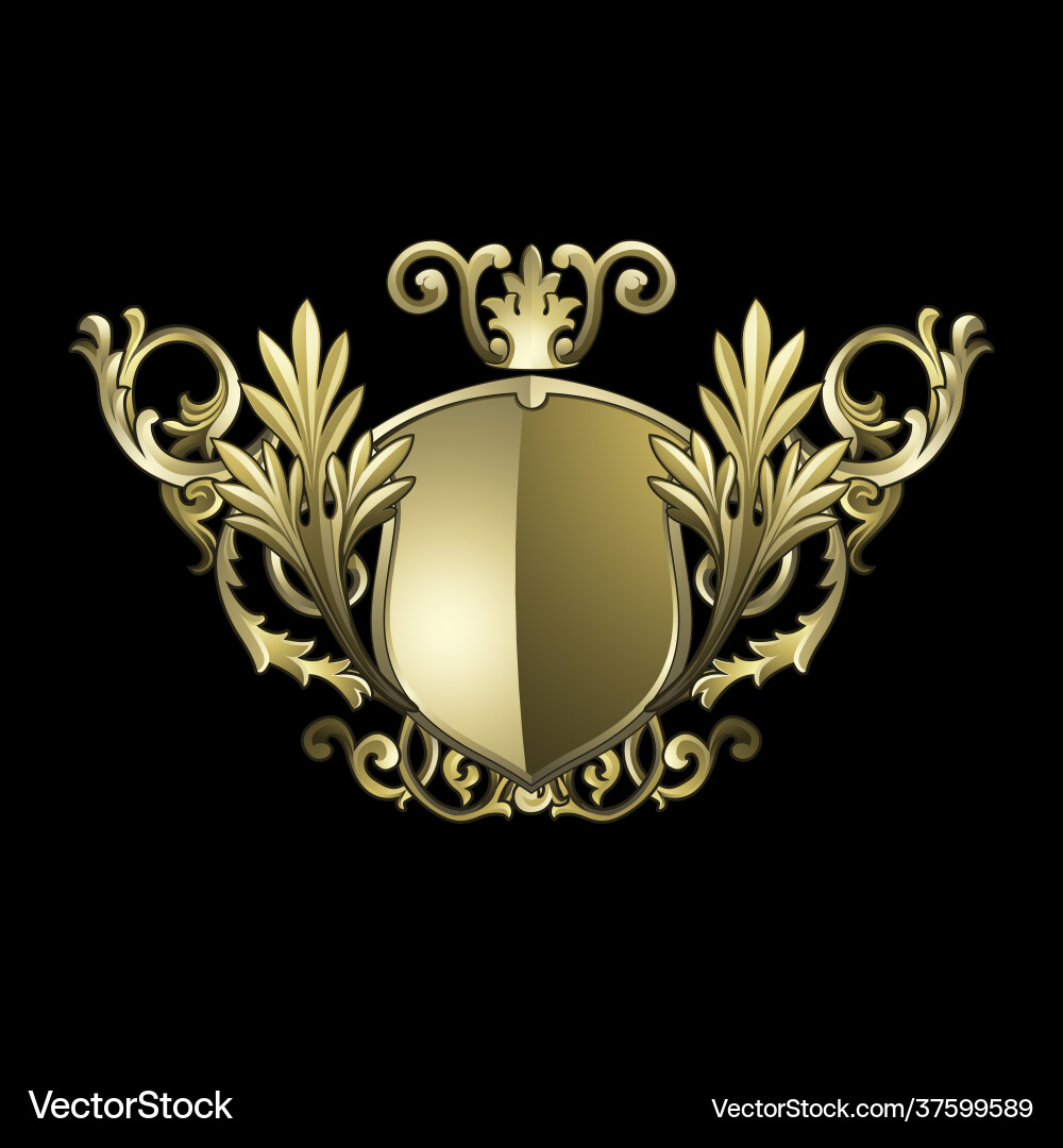 Golden baroque shield elements Royalty Free Vector Image