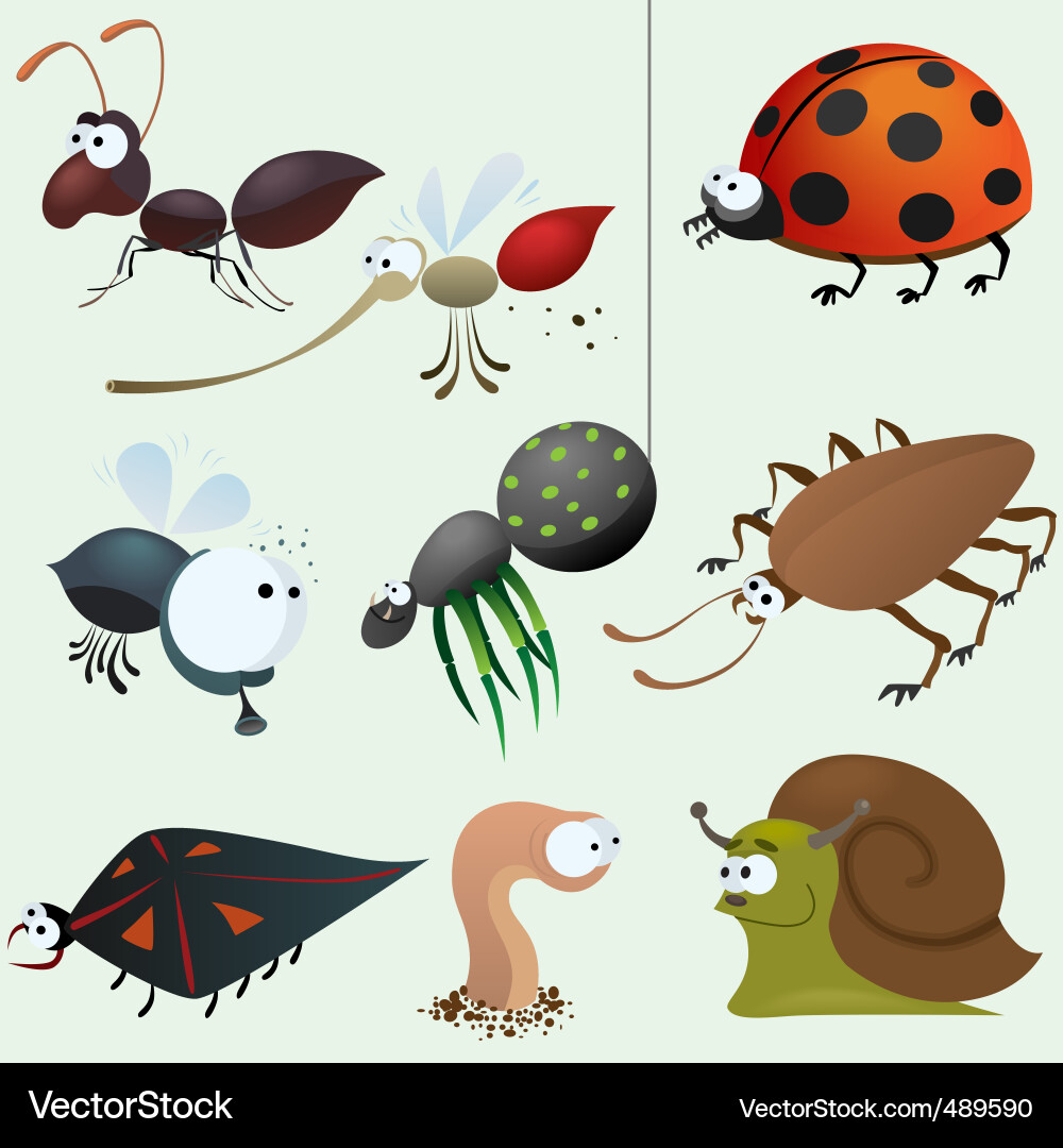Cartoon insect set Royalty Free Vector Image - VectorStock
