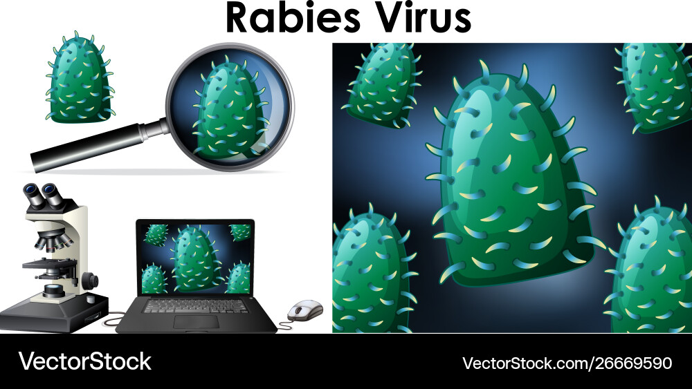 Close up isolated object virus name rabies Vector Image