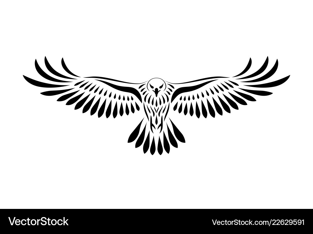 Engraving of stylized hawk on white background Vector Image