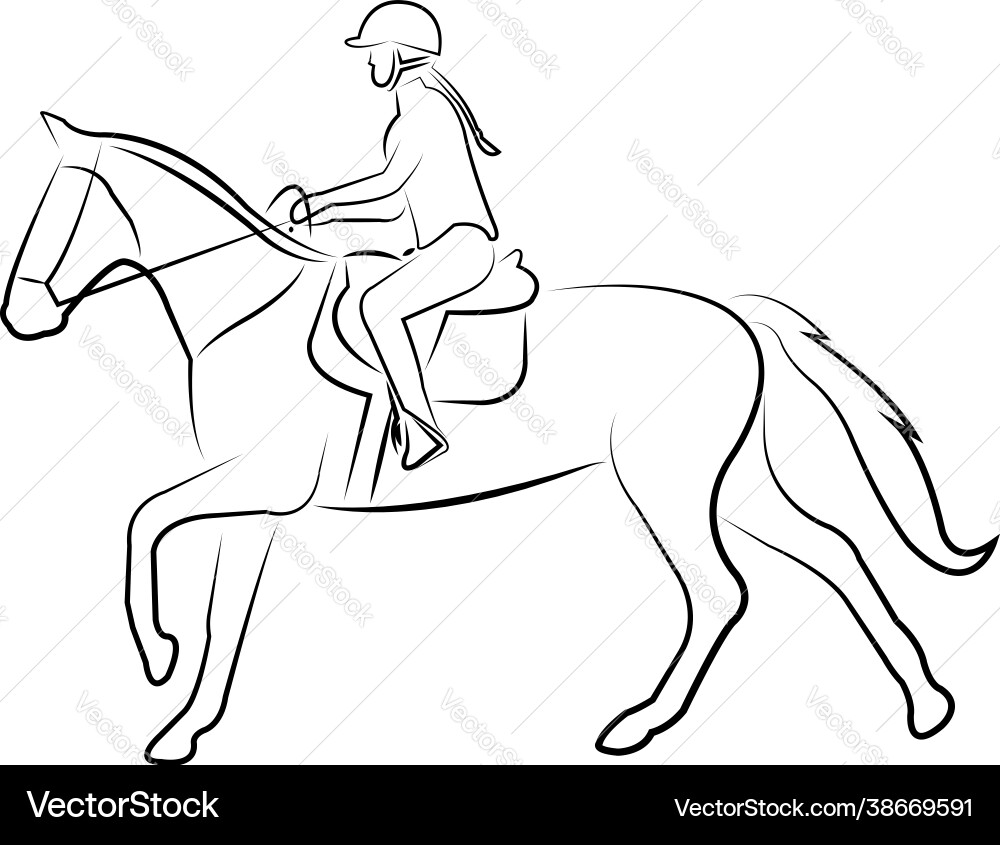 Horse riding line art Royalty Free Vector Image