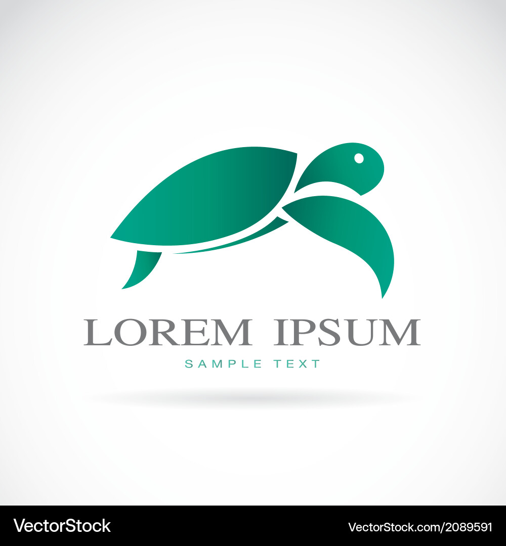 Image of an turtle design Royalty Free Vector Image