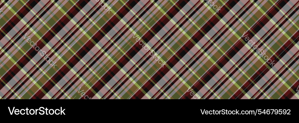 Rag plaid pattern texture paisley tartan Vector Image