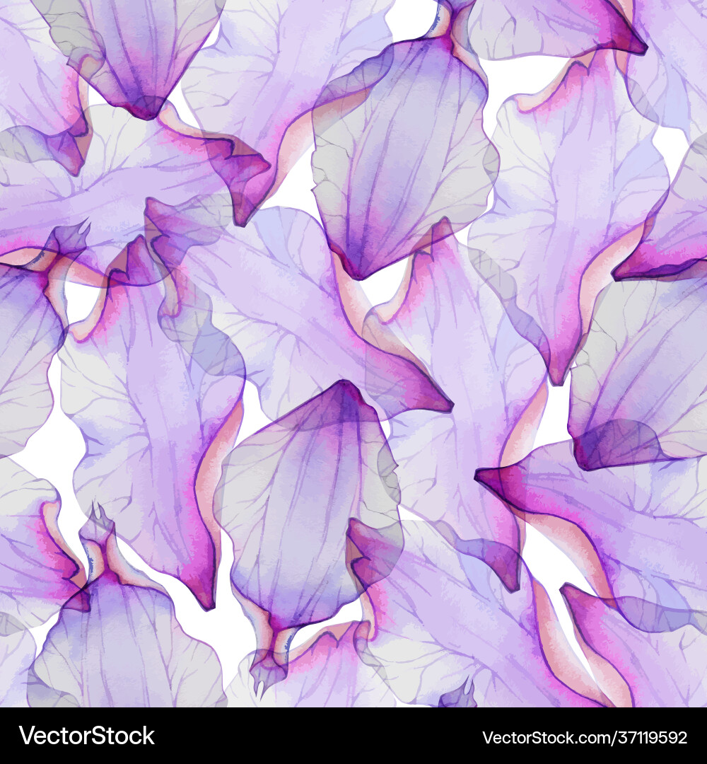 Seamless pattern with pink flower petal Royalty Free Vector
