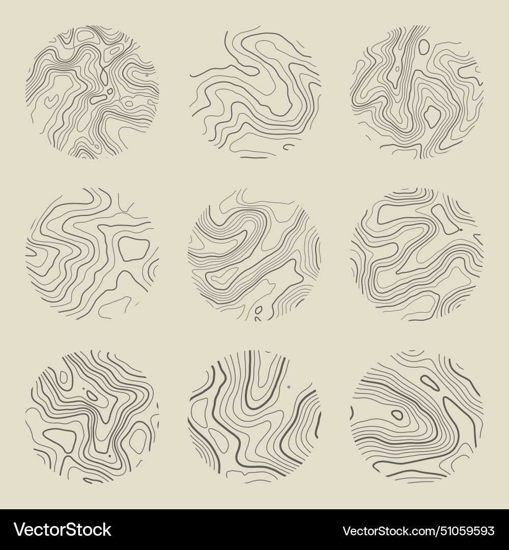 Topographic map with contour lines geographic Vector Image