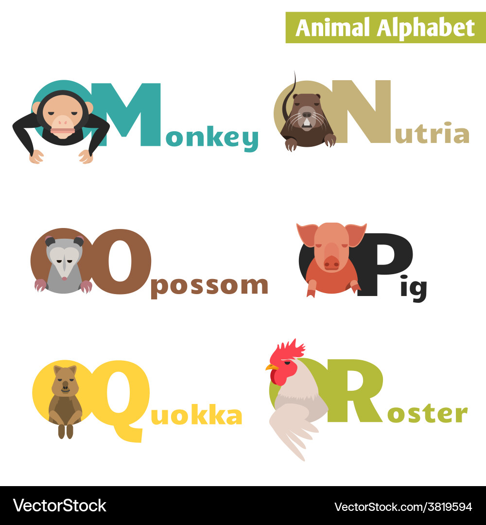 Animal alphabet Royalty Free Vector Image - VectorStock