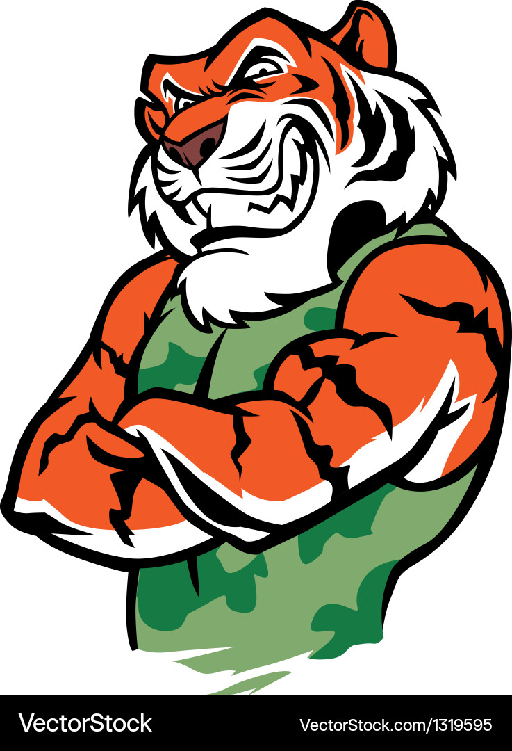 Muscular Tiger Pose Royalty Free Vector Image - VectorStock