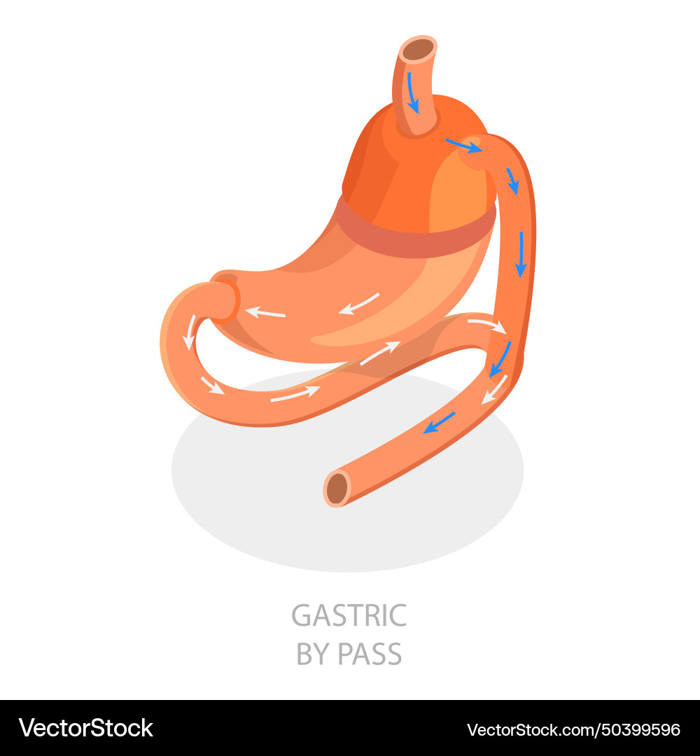 3d isometric flat of types Royalty Free Vector Image