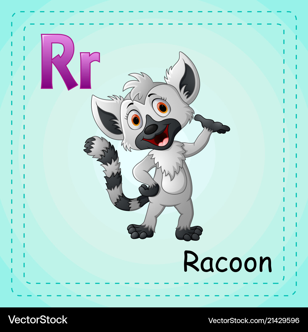 Animals alphabet r is for raccoon Royalty Free Vector Image