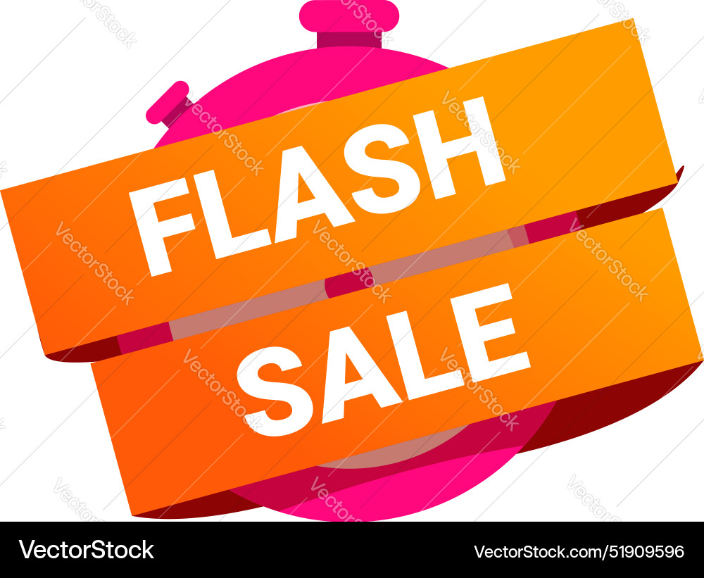 Flash sale banner showing limited time offer Vector Image
