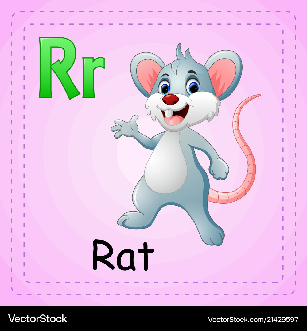 Animals alphabet r is for rat Royalty Free Vector Image