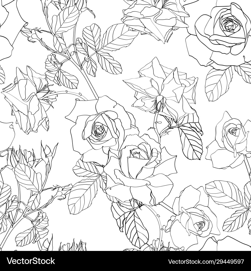Hand drawn line roses flowers pattern Royalty Free Vector