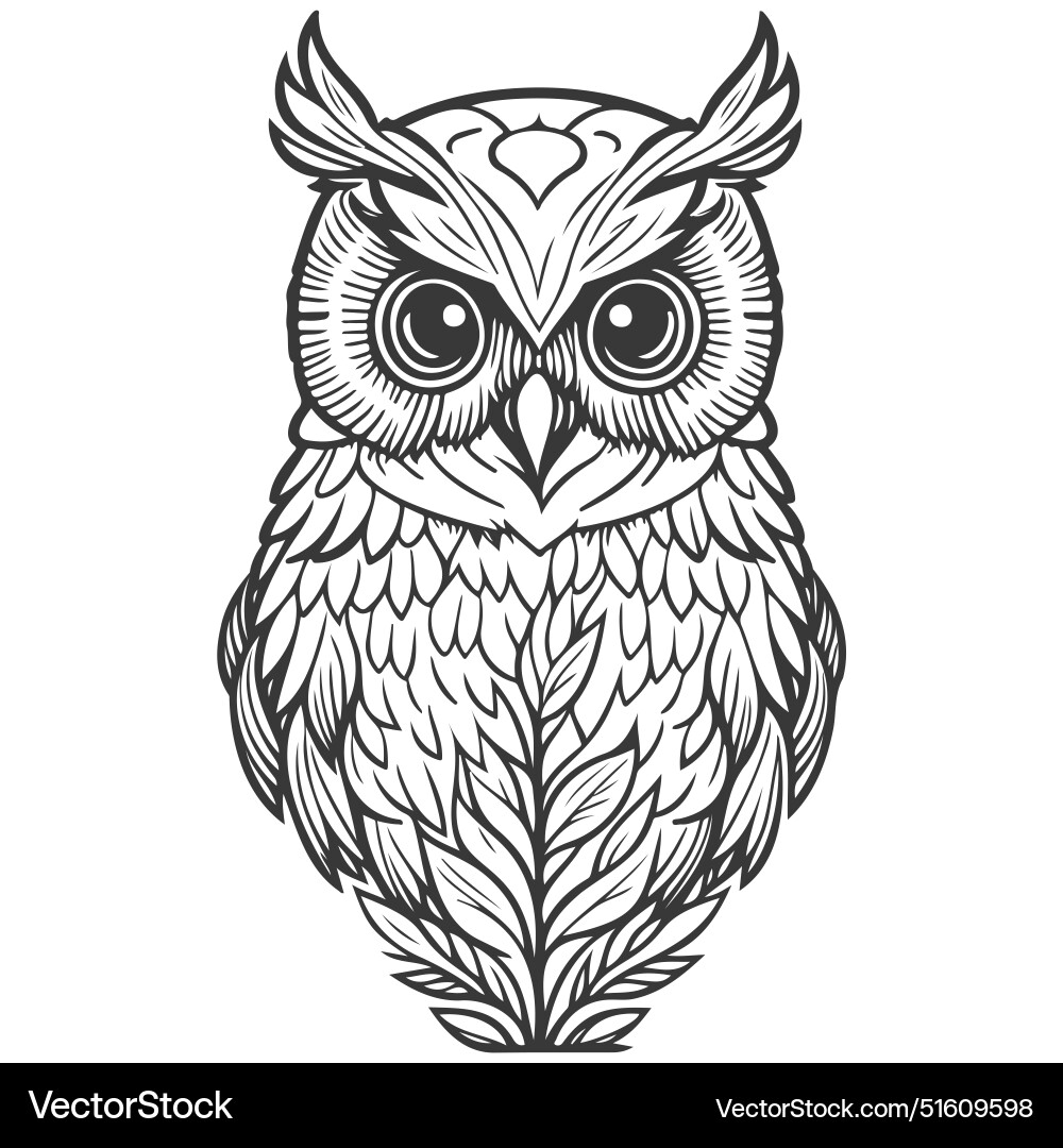 Animal owl brave with floral spring grey Vector Image