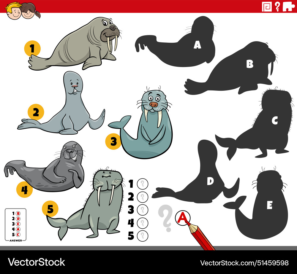 Finding shadows activity with cartoon seals Vector Image