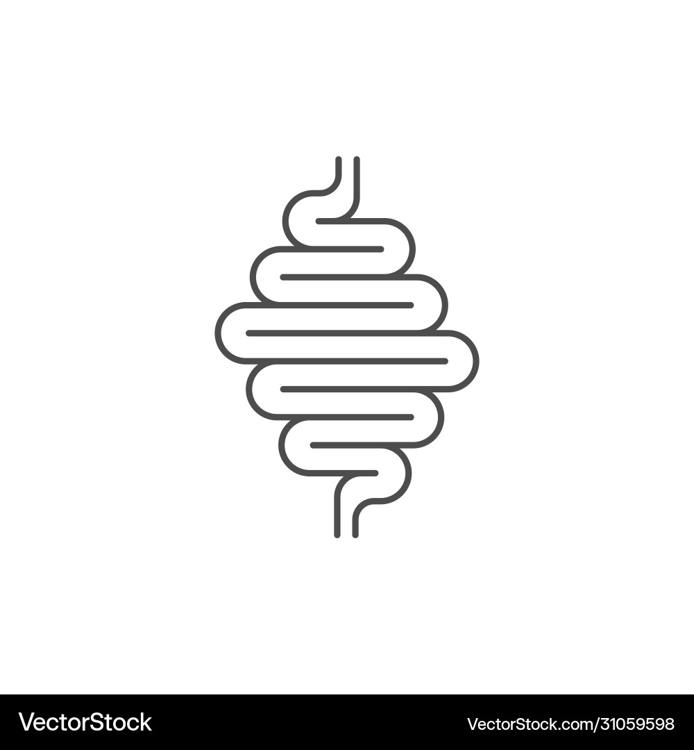 Intestines and digestive system line icon Vector Image